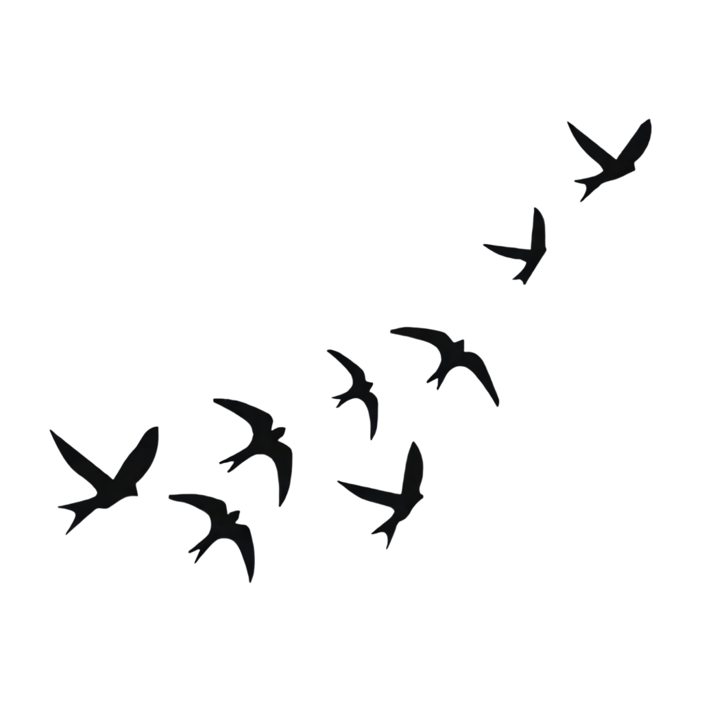 Free Soul - Le Leader du tatouage temporaire et semi-permanents au Maroc